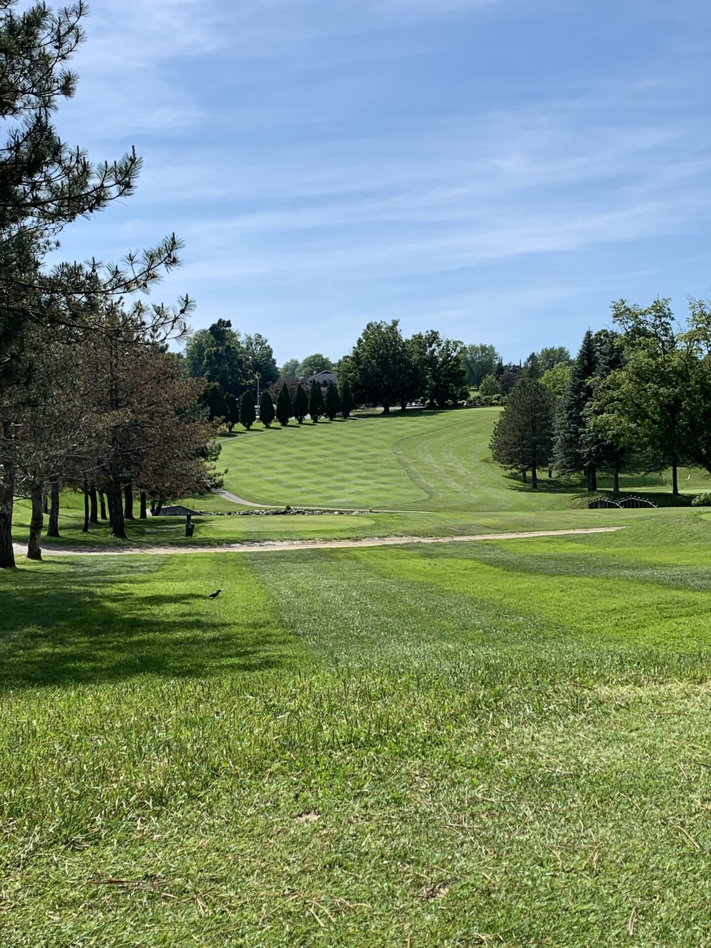 3 Pack: Pre-Paid Greens Fees and Complementary Cart - Tri-County